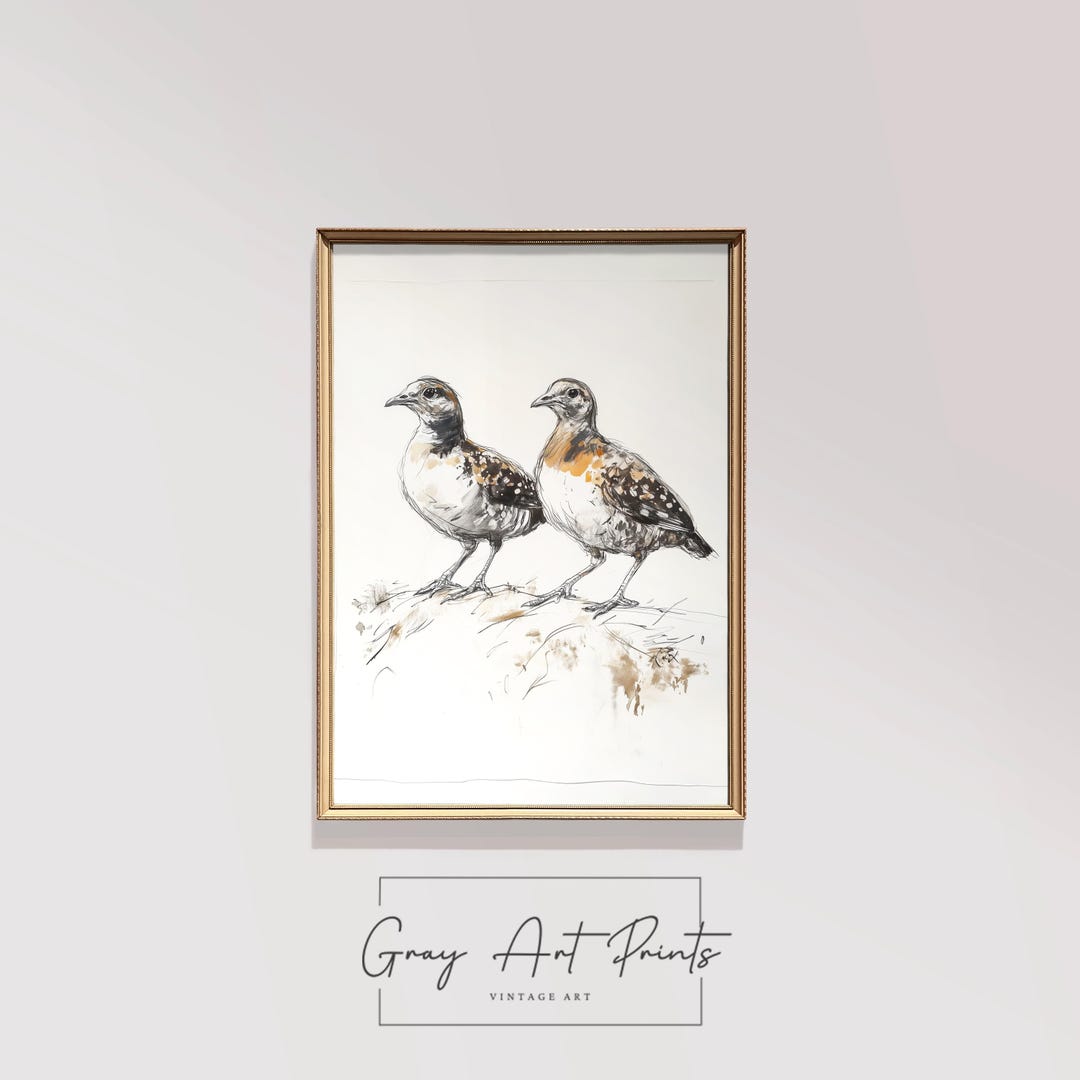 Rustic Partridge Pair Printable Art - Vintage Bird Drawing, Farmhouse ...
