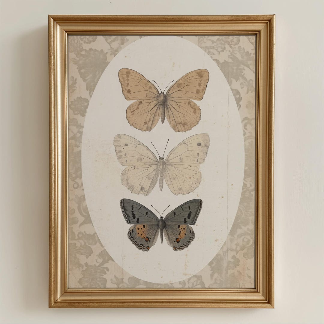 Victorian Butterfly Collection Art Print - Vintage Naturalist Wall ...