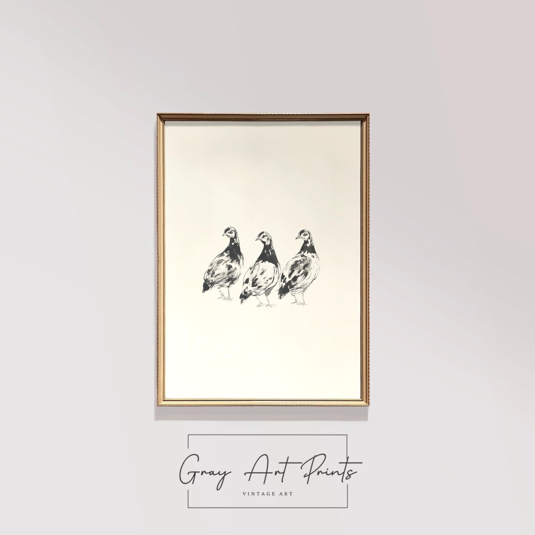 Ink Drawing of Quail Trio - Printable Rustic Bird Art, Cottagecore ...