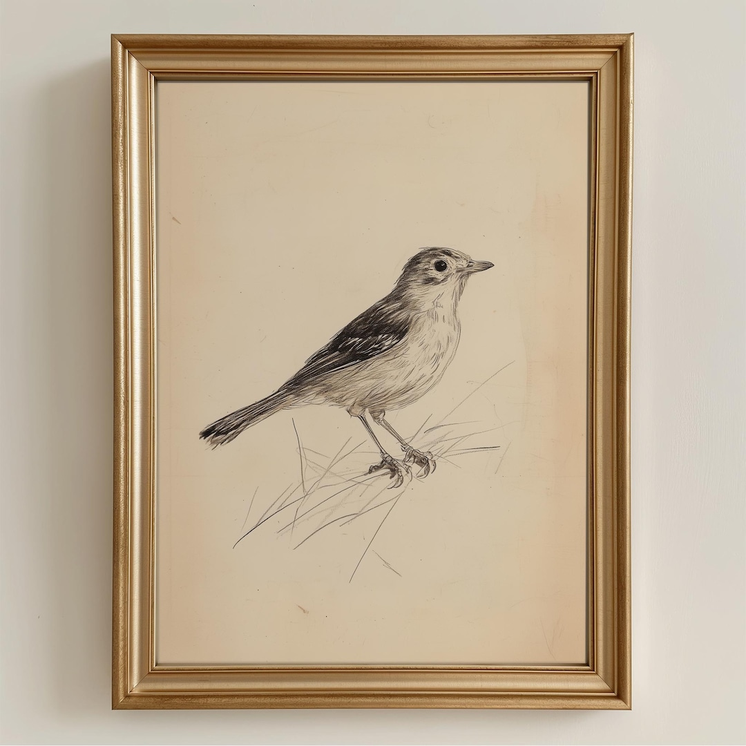 Vintage Bird Sketch - Printable Rustic Bird Art, Antique Nature ...