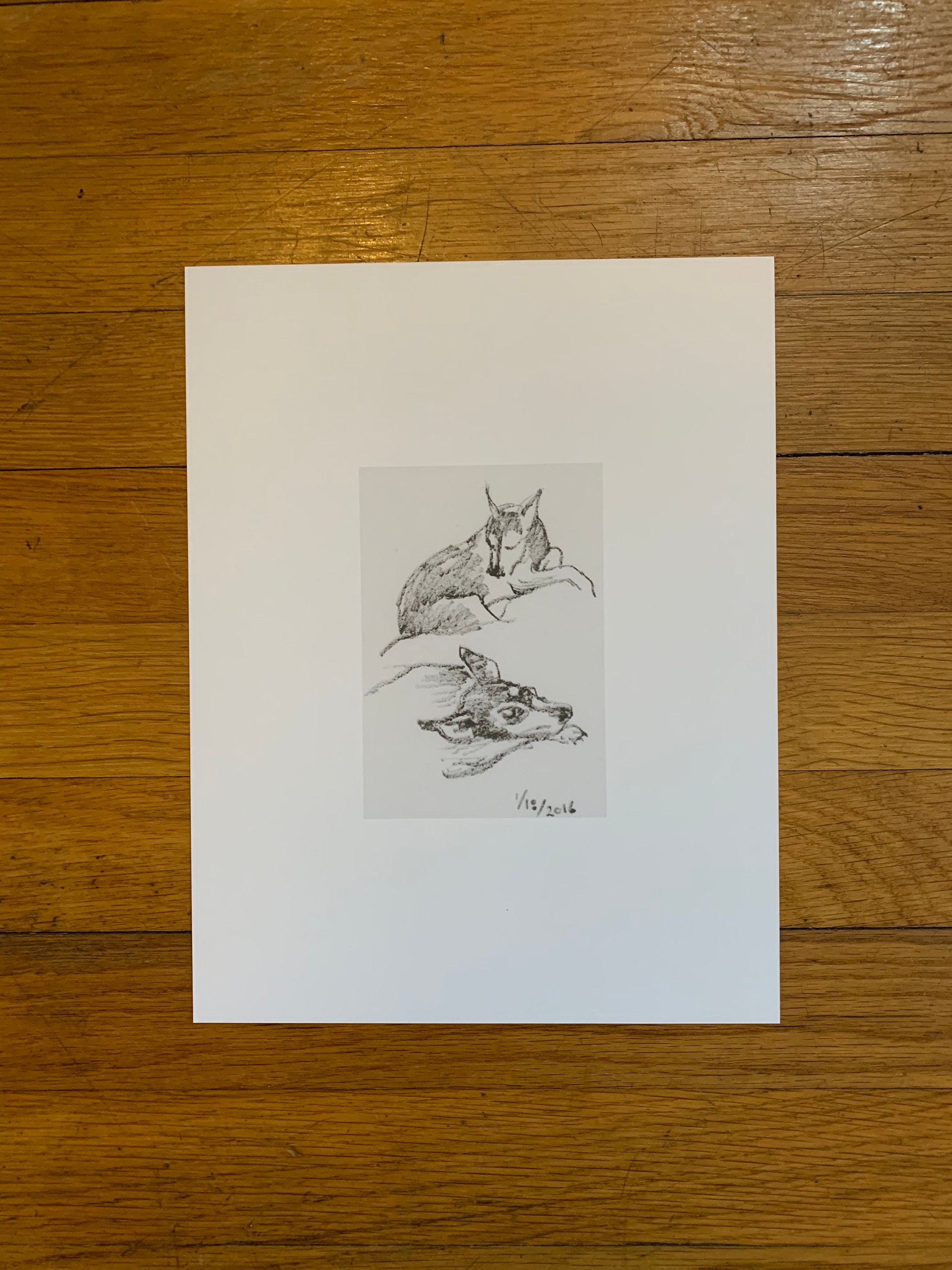 Pixie Portrait Sketches - Etsy