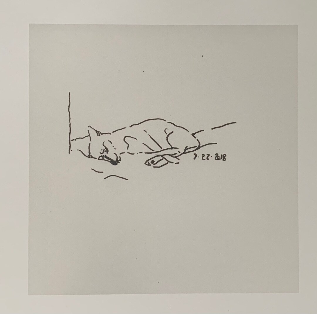 Snoozing Pixie Dog Line Drawing - Etsy