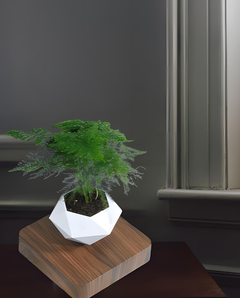 Magnetic Levitating Plant Pod – Floating Bonsai Planter for Indoor ...