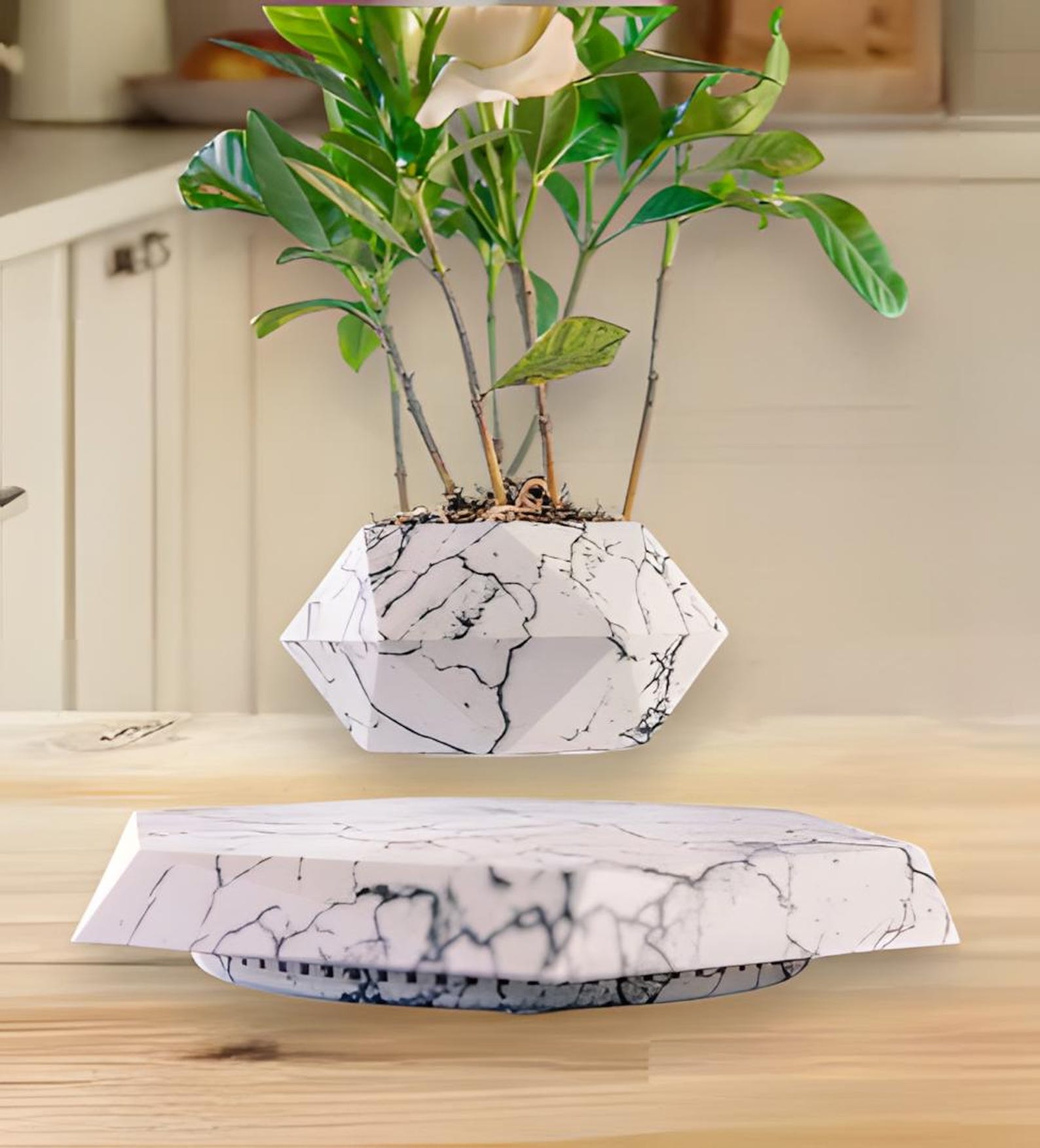 Magnetic Levitating Plant Pod – Floating Bonsai Planter for Indoor ...