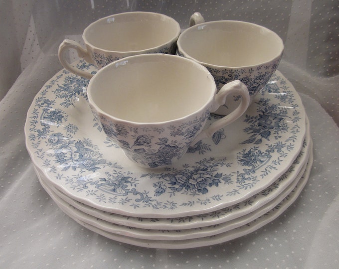Myott Meakin Oriental Garden Plates and Cups Blue and White ...