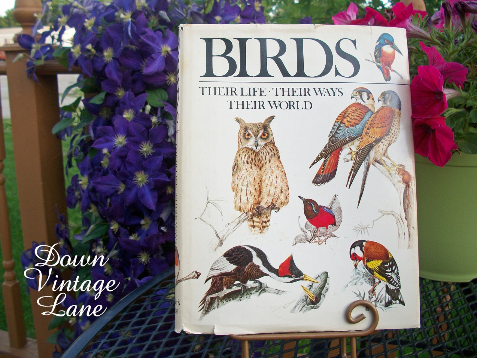 Vintage BIRDS Book Their Life Their Ways Their World 1979 - Etsy