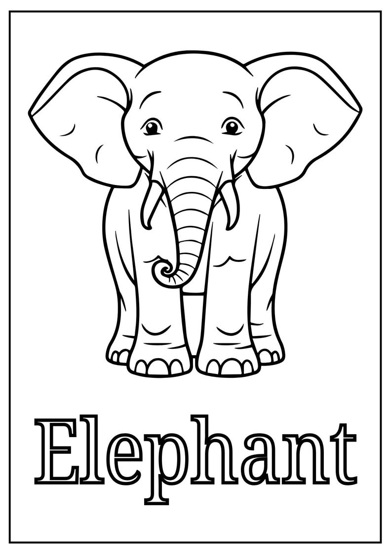 Wild Wonders: an Animal Coloring Book| Critter Creations Fun Animal ...