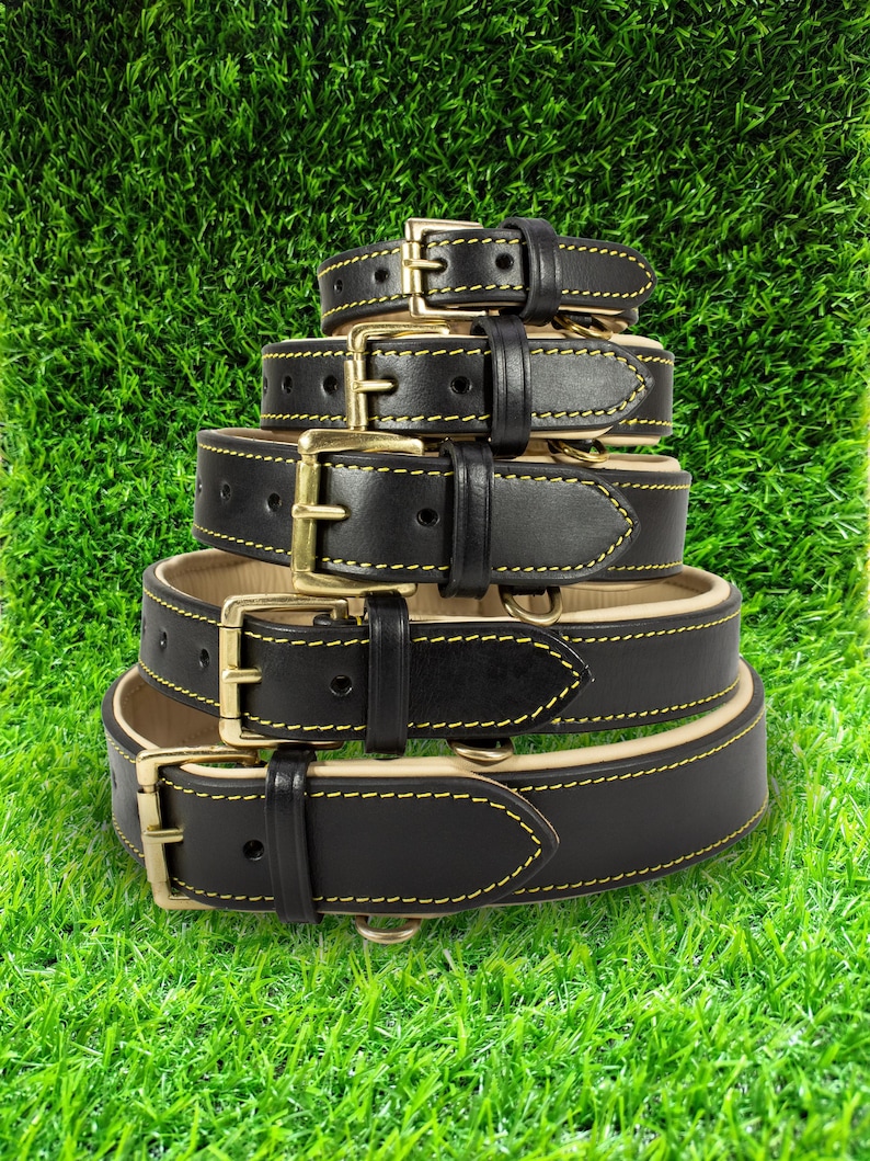 Leather Padded Dog Collar – Handcrafted With Solid Brass Hardware - Etsy