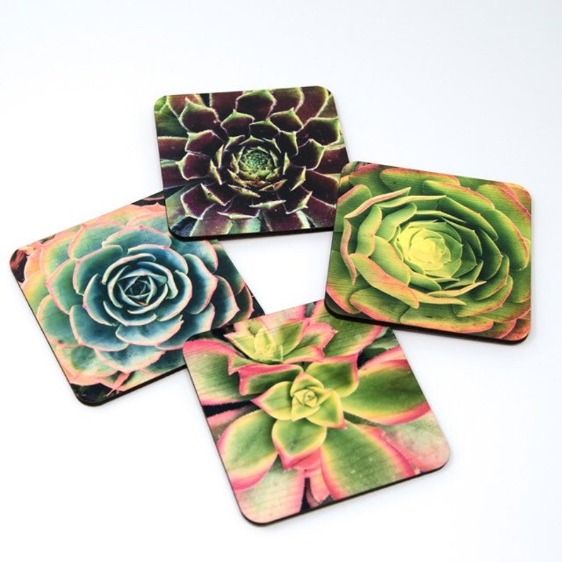 Succulent Coasters - Distressed Photo Transfers on Wood - Etsy