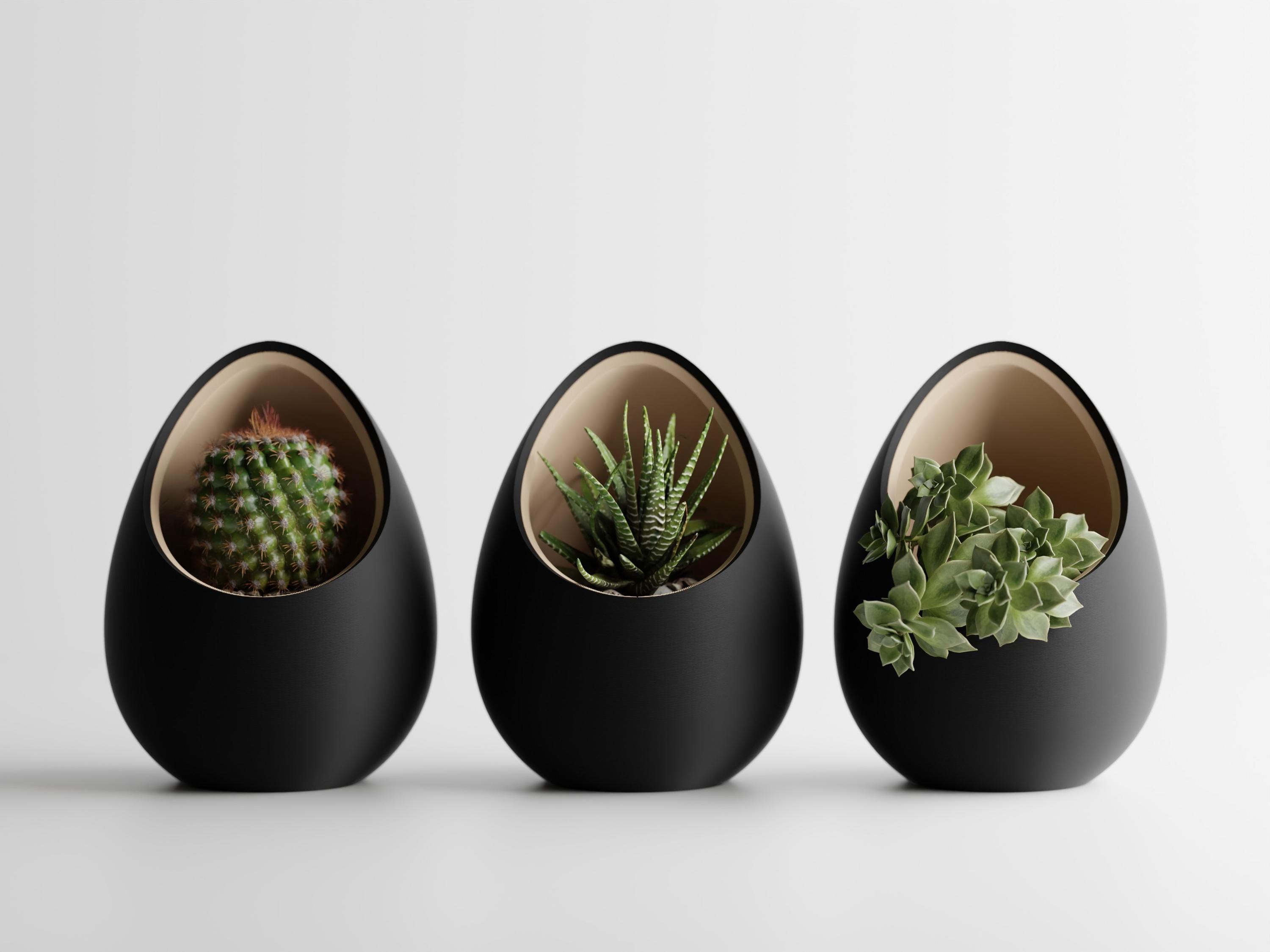 Curved Egg Pod Planter "cocoon" – A Contemporary 3D Printed Vessel for ...