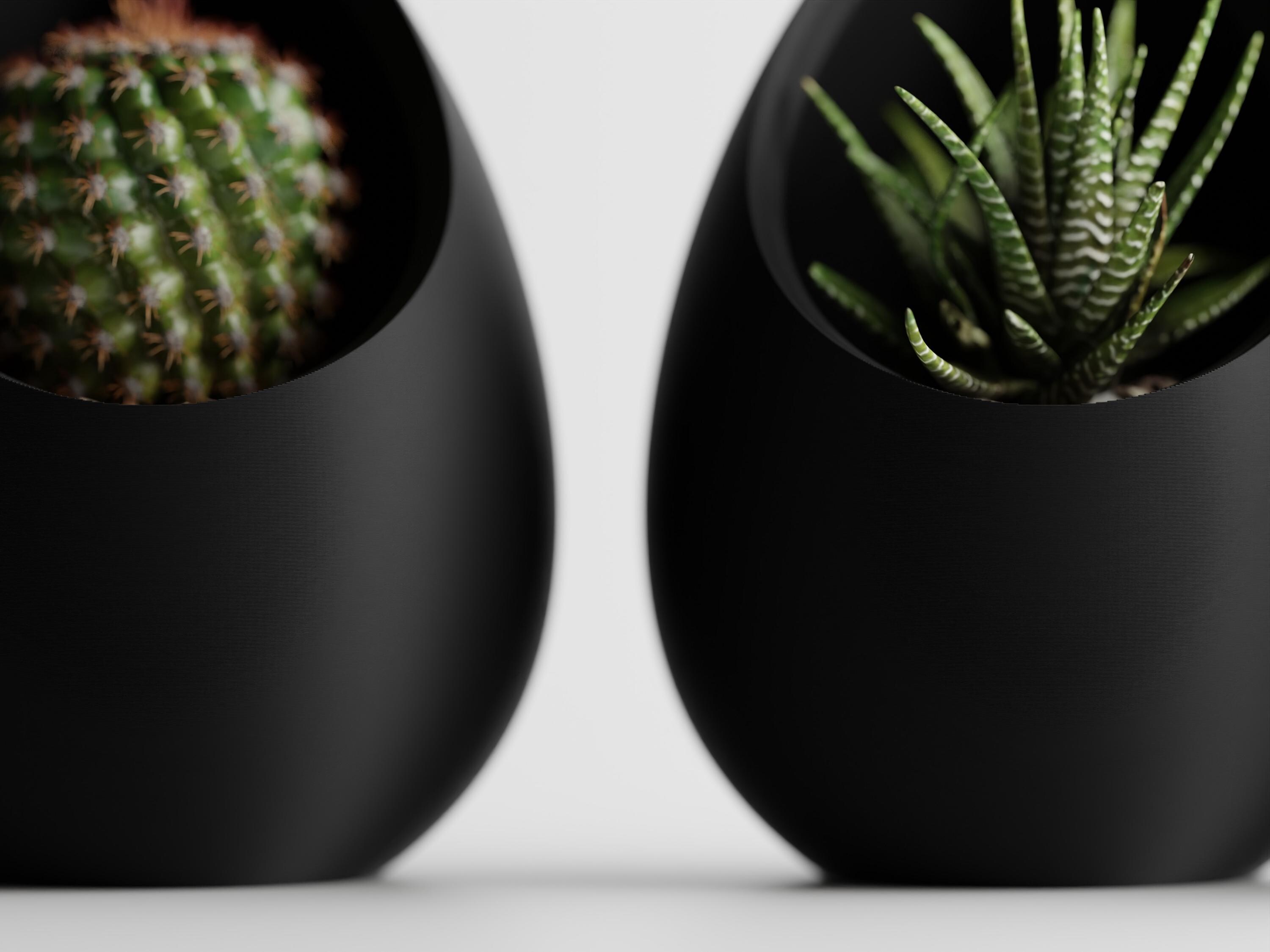 Curved Egg Pod Planter "cocoon" – A Contemporary 3D Printed Vessel for ...