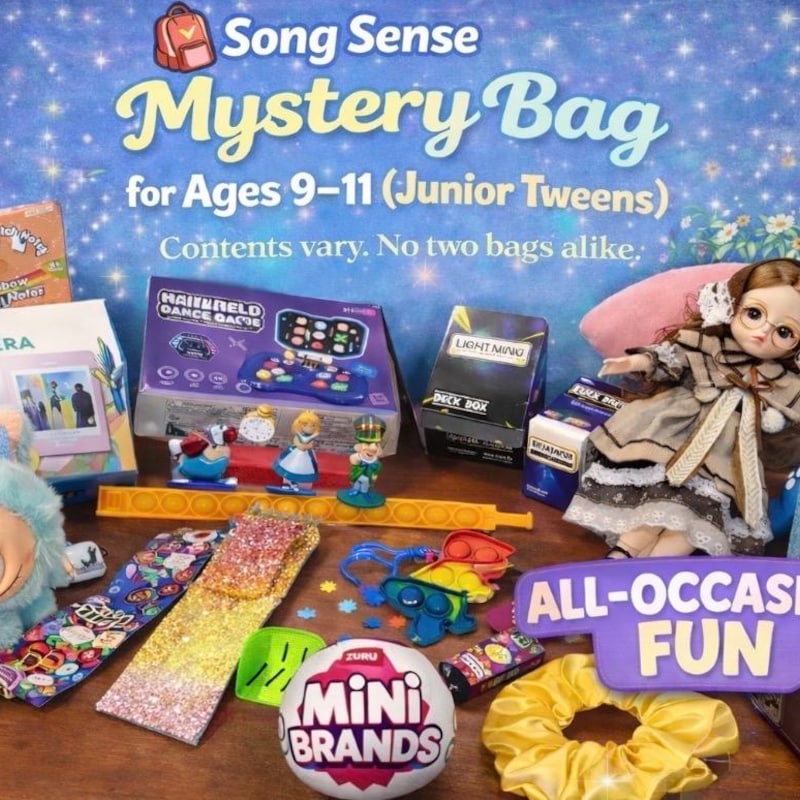 Sensory Fidget Mystery Box - Etsy