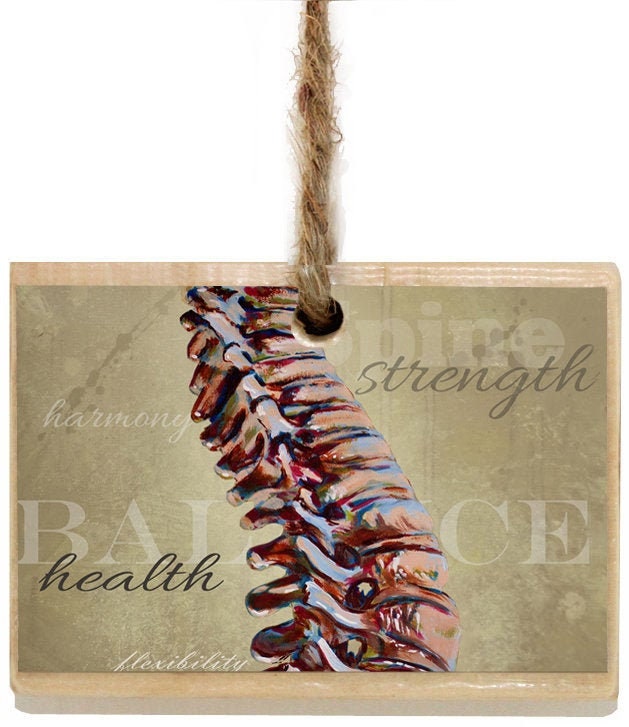 Anatomy human spine ornament boxed gift natural health for | Etsy