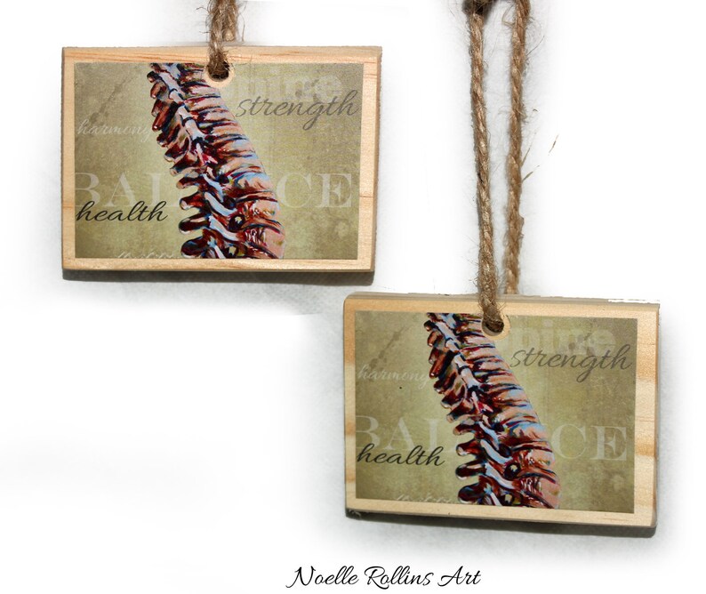 Anatomy Human Spine Ornament Boxed Gift Natural Health for - Etsy