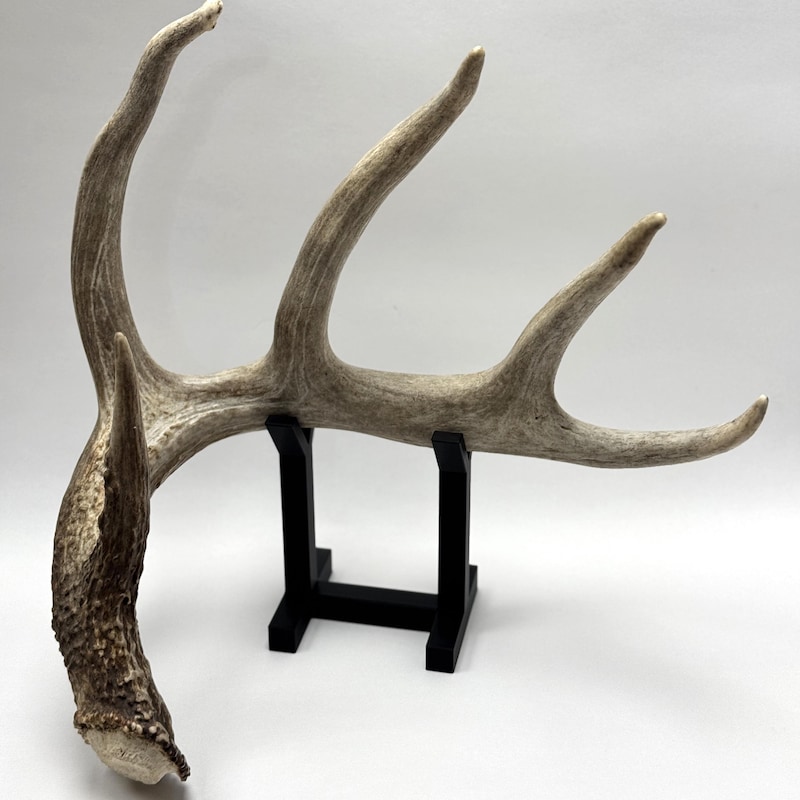 Antler Decor - Etsy