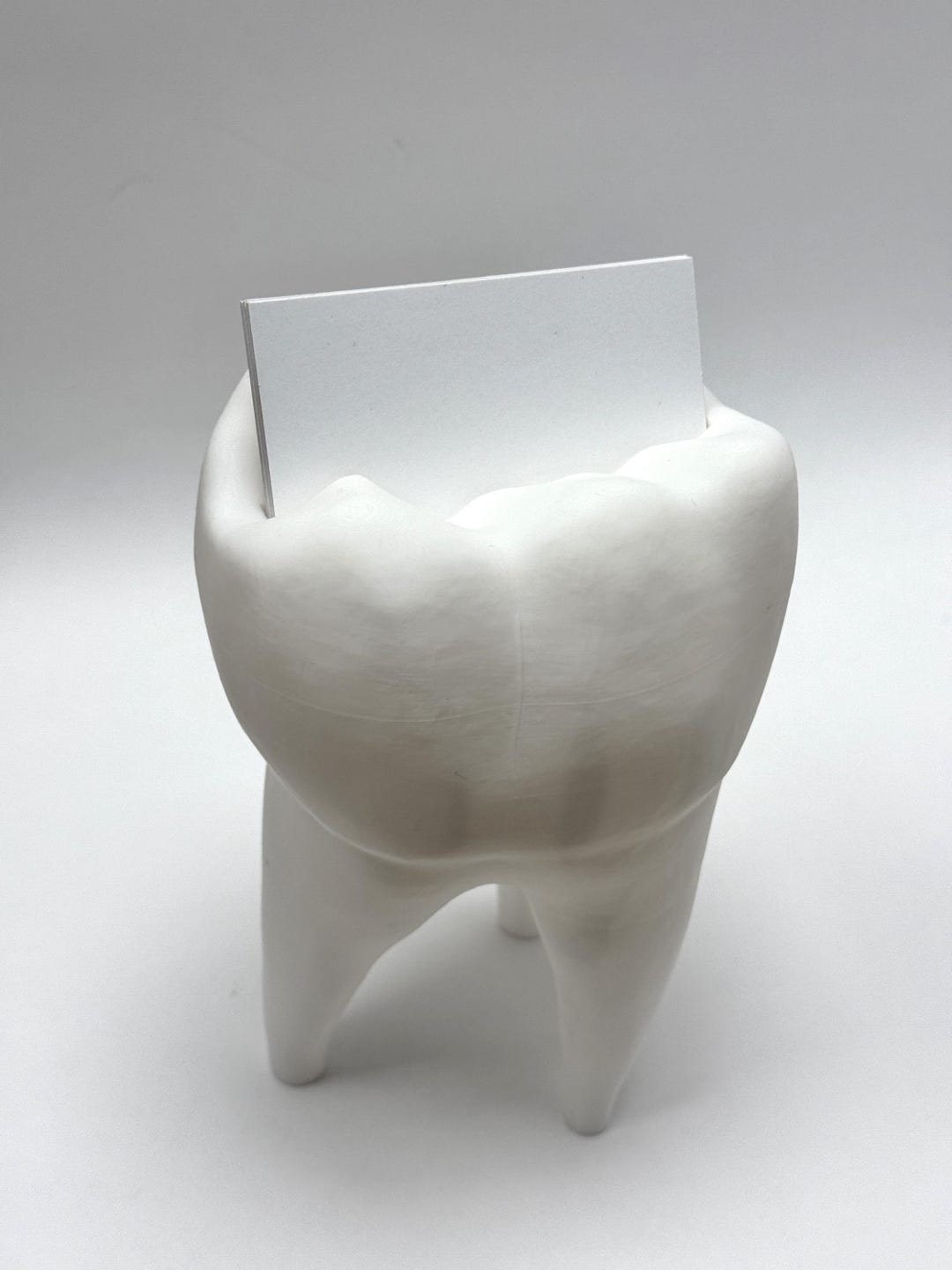Tooth Business Card Holder Great for Dentist, Orthodontics, or Any ...