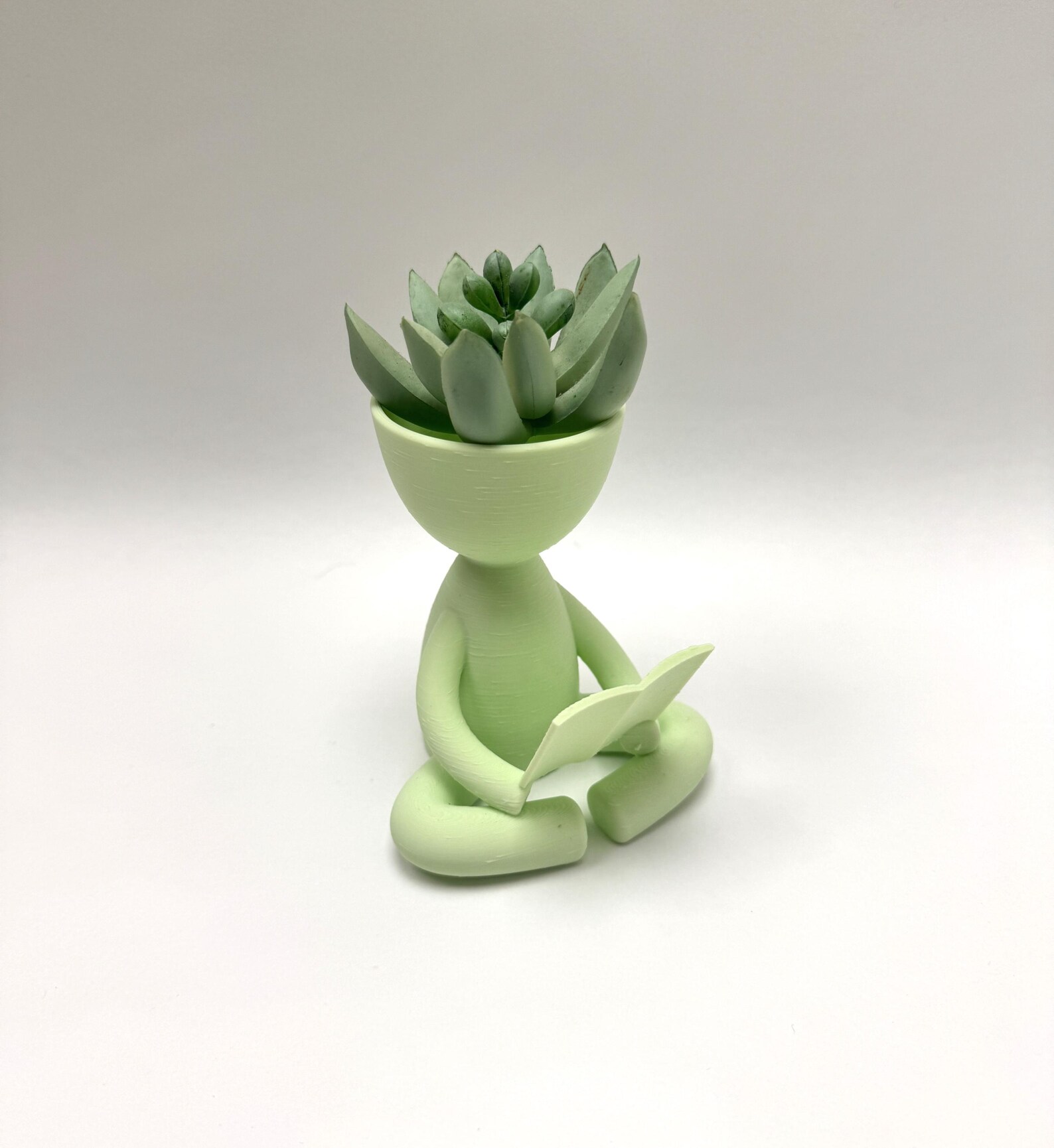 Book-loving Figurine Planter - Unique Air Plant and Succulent Holder - Etsy