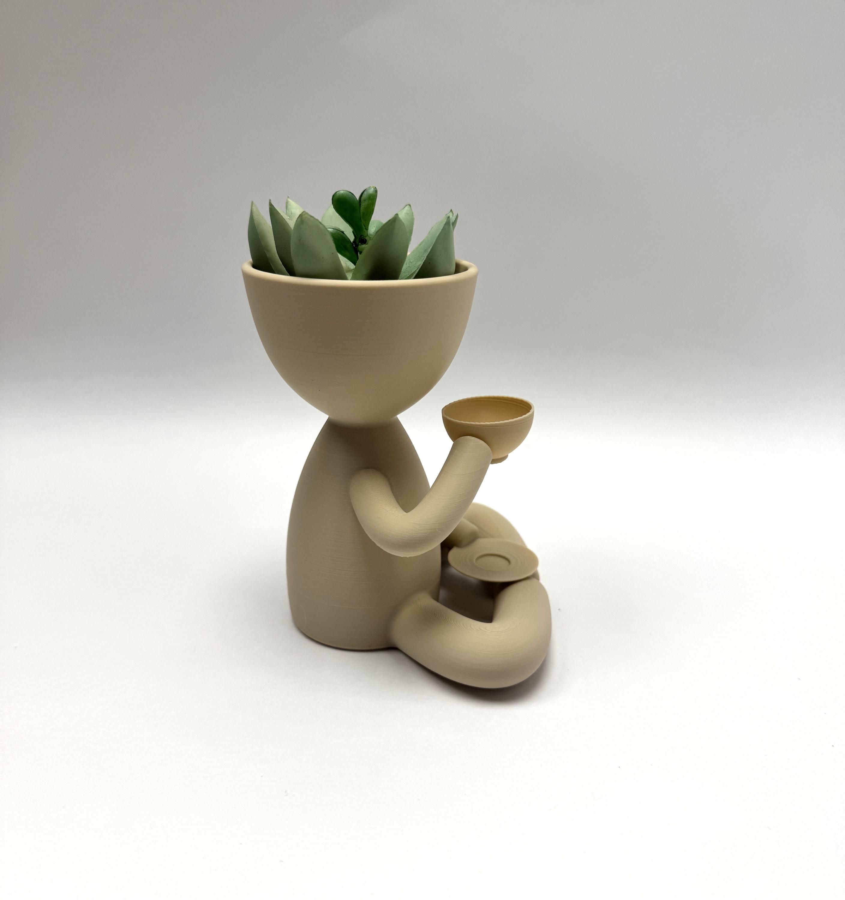 Tea Time Figurine Planter - Unique Air Plant and Succulent Holder - Etsy