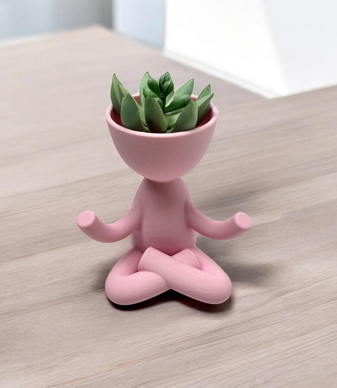 Yoga Figurine Planter - Unique Air Plant and Succulent Holder - Etsy