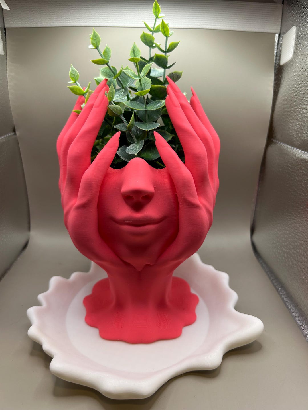 Woman Face Planter W/ Tray, 3D Printed and Color Customizable - Etsy