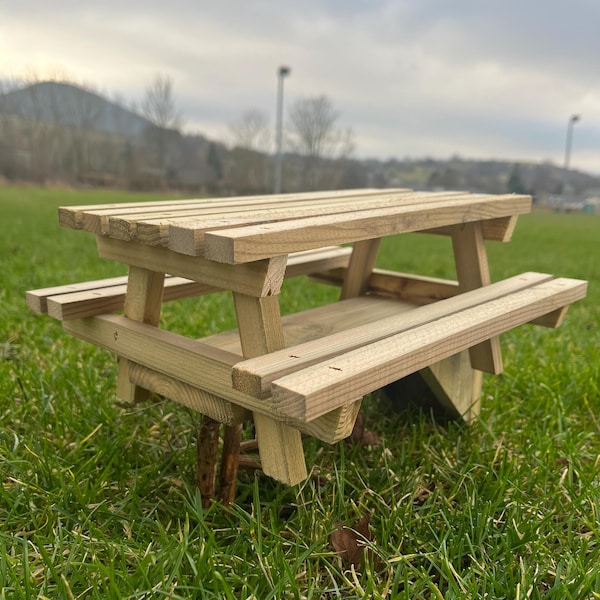 Squirrel Bench - Etsy