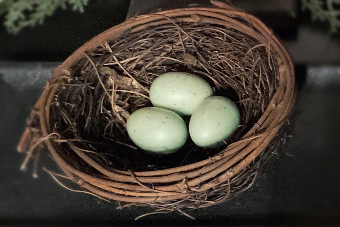5 Twig Angel Vine Nest Robins Birds Nest Pale Green Eggs - Etsy