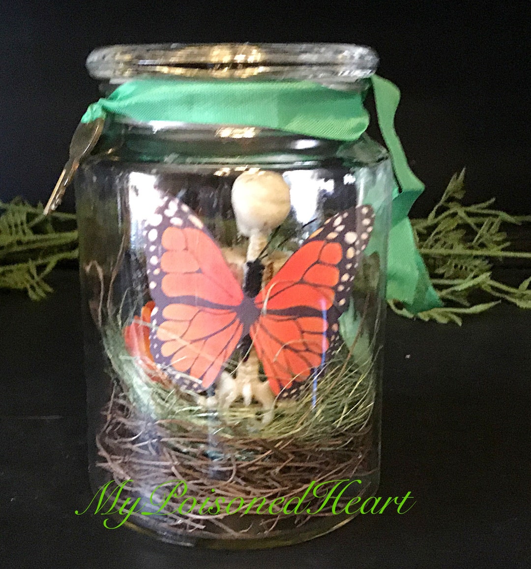 Dead Fairy Skeleton Jar Fairy Specimen Butterfly Wings Fairy - Etsy