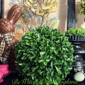 Lg. 8 Farmhouse Rustic Green Leaves Boxwood Sphere Full Sphere - Etsy