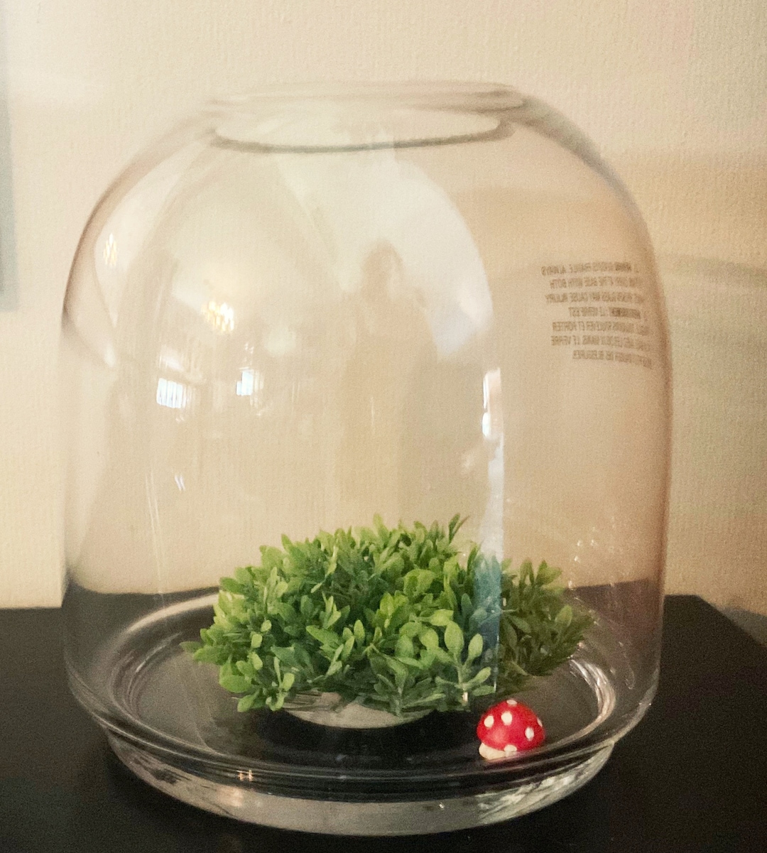 Lg. Glass Cloche Terrarium Cloche Done Plant Cloche Garden Cloche ...