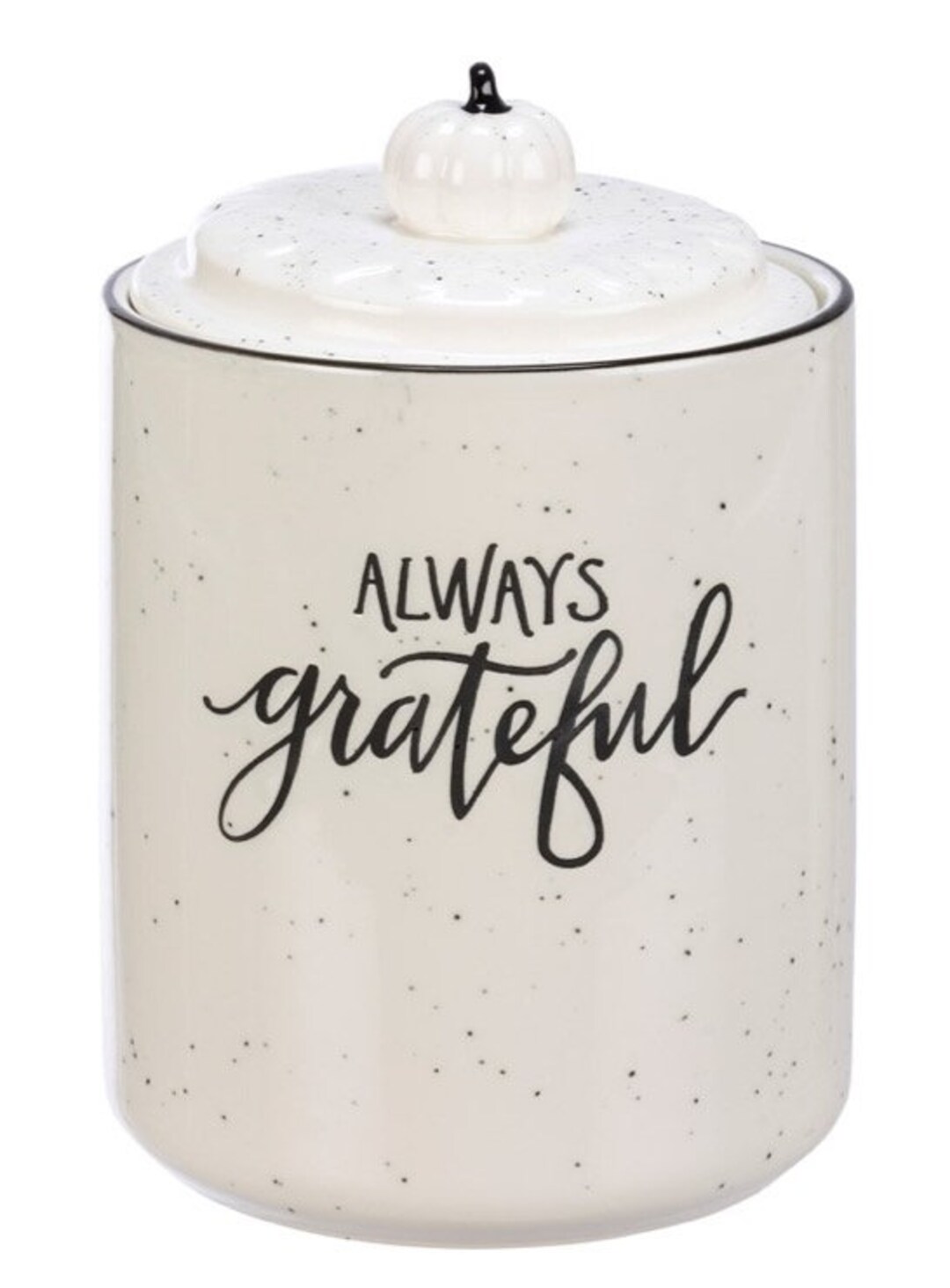 One Lg. 9 Farmhouse Fall Autumn Stoneware Canister Pumpkin Canister ...