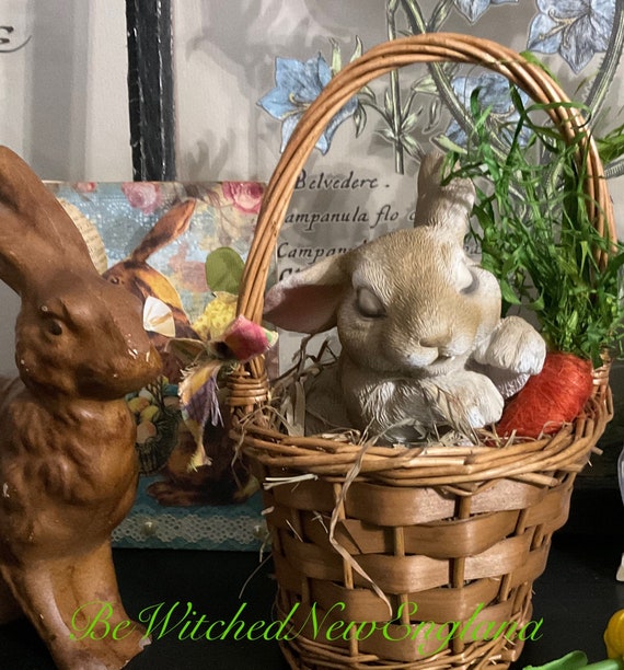 Spring Hare Sleeping