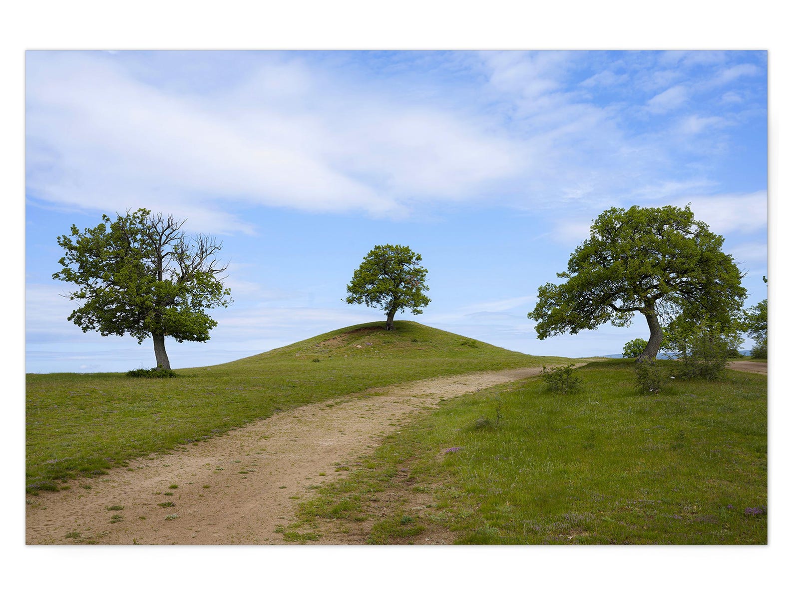 Print With Meadow, Green Grass, Path and Trees Against Blue Sky ...