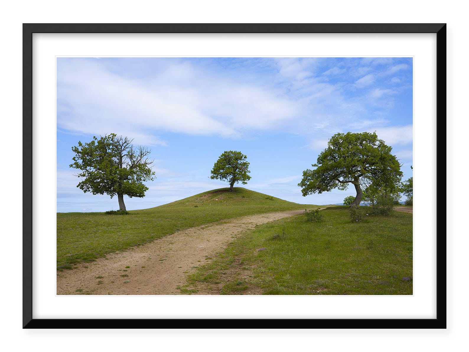 Print With Meadow, Green Grass, Path and Trees Against Blue Sky ...