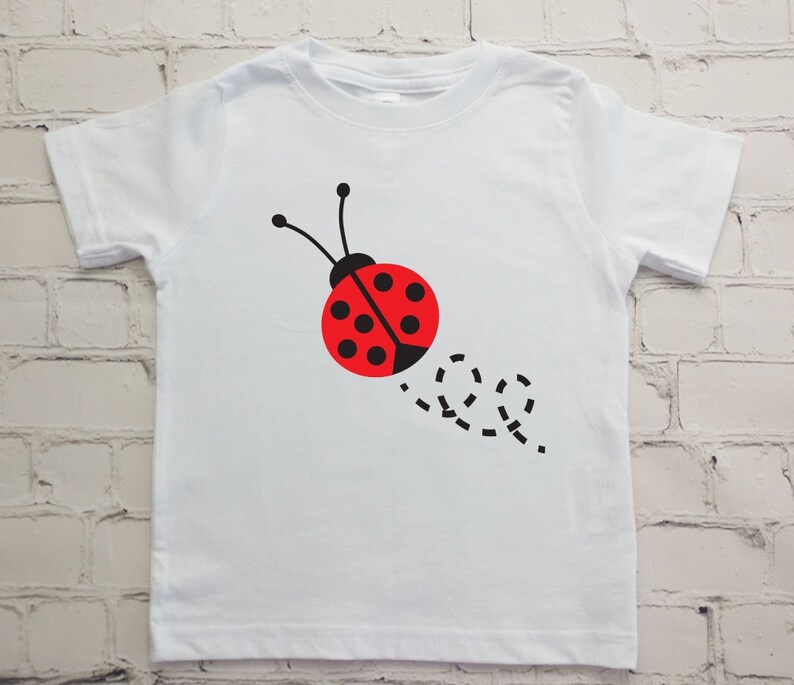 Ladybug Toddler Tee Shirt and Skirt 2 Piece Outfit Girls - Etsy