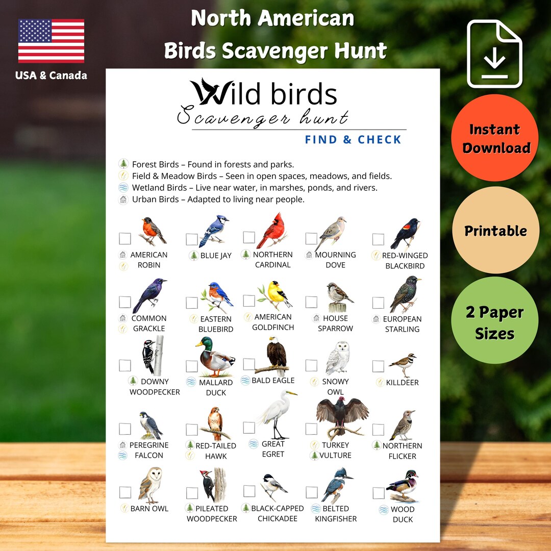 Bird Scavenger Hunt: Nature Study, Montessori Learning (digital ...