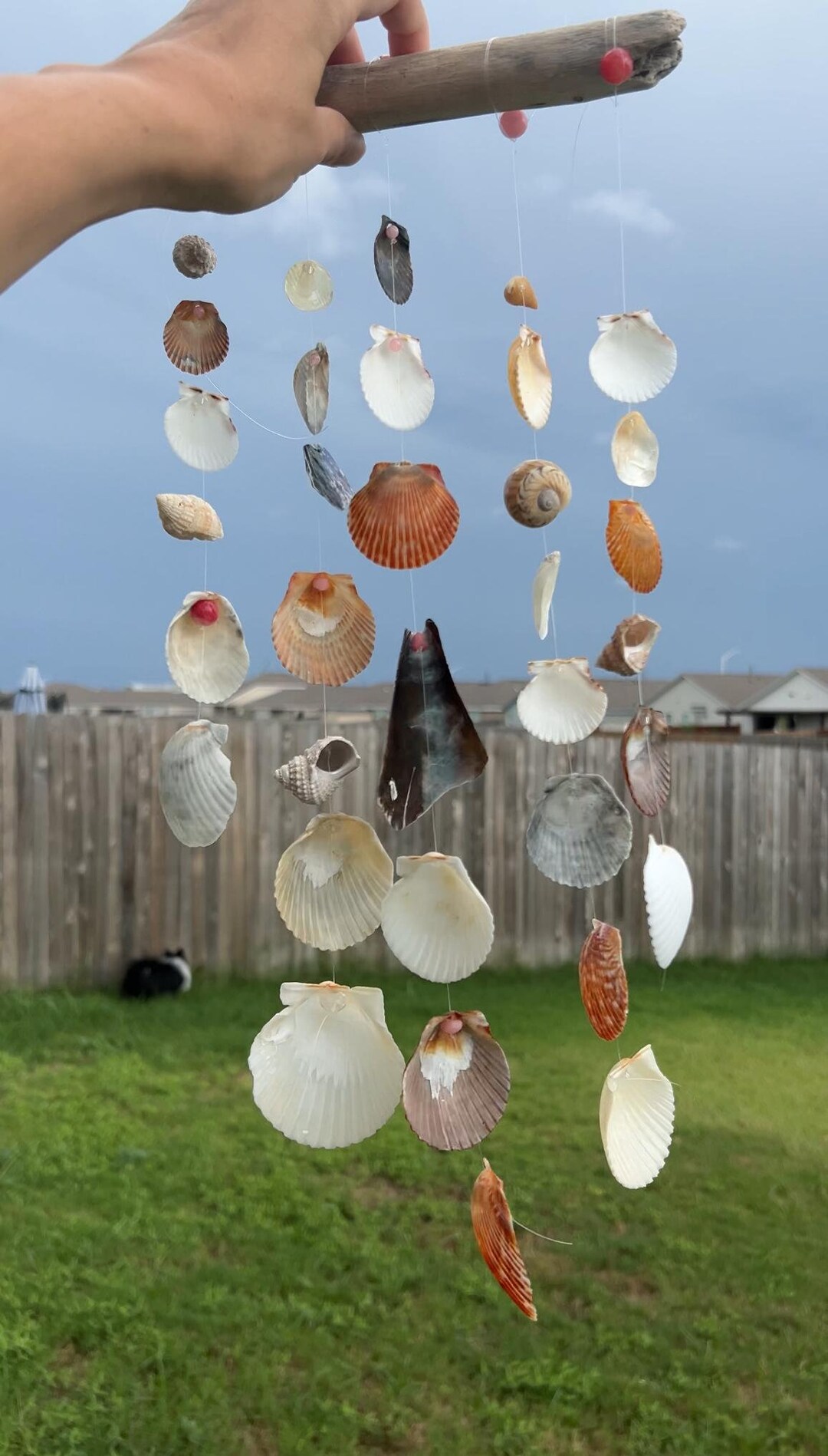 Shell Windchimes/ Decor - Etsy