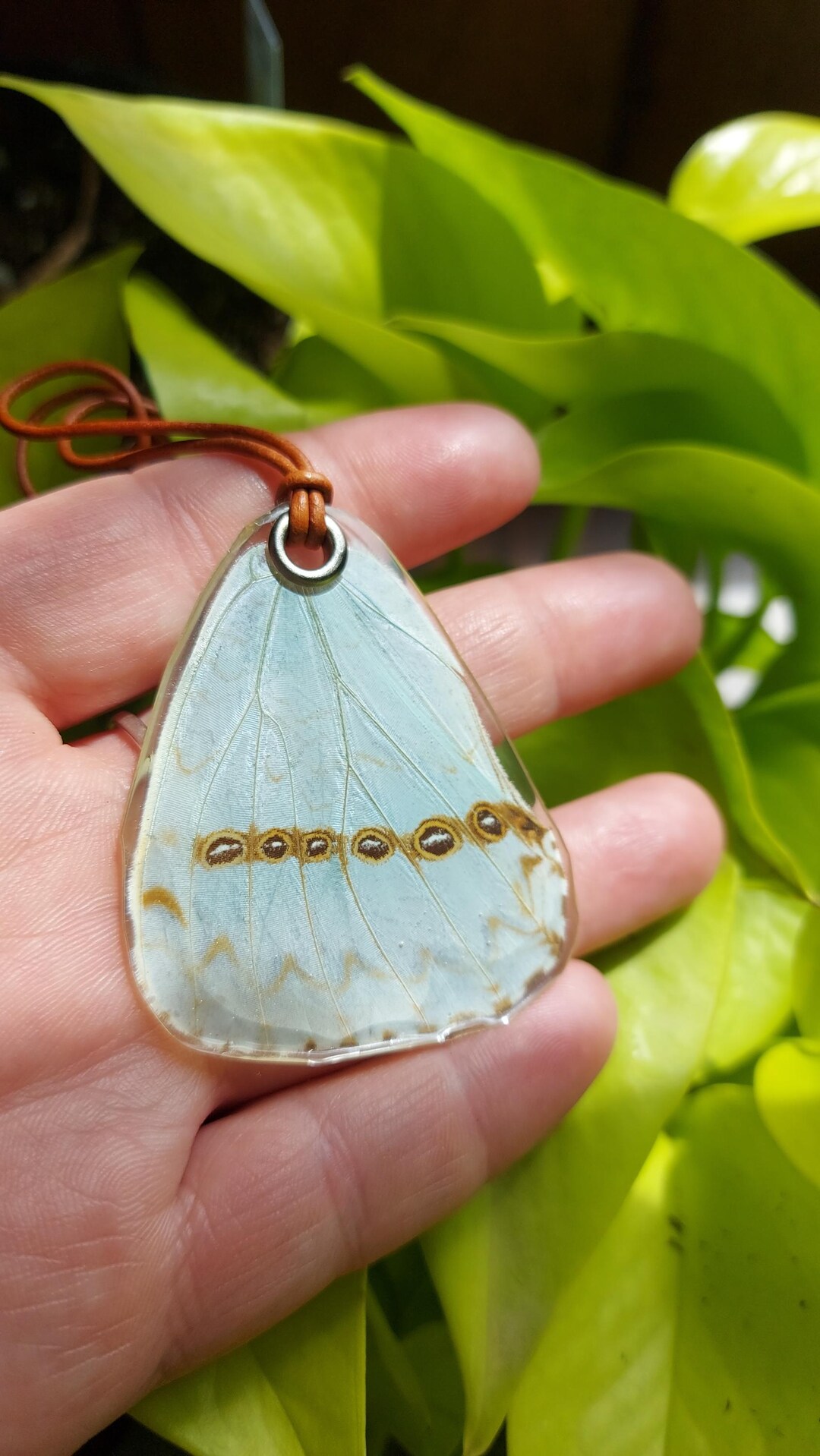 Morpho Polyphemus Amulet - Etsy