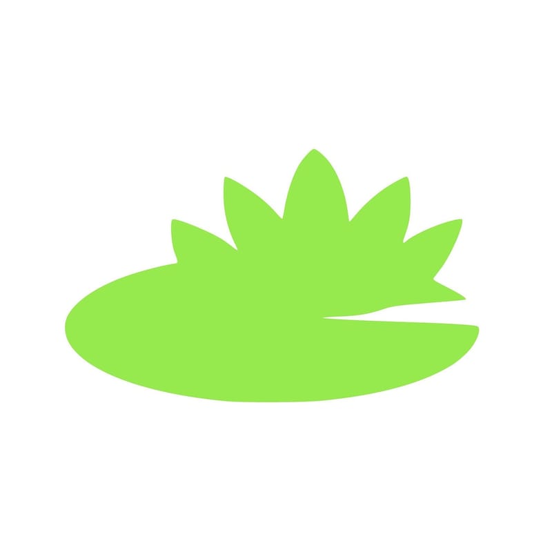 Lily Pad - Etsy