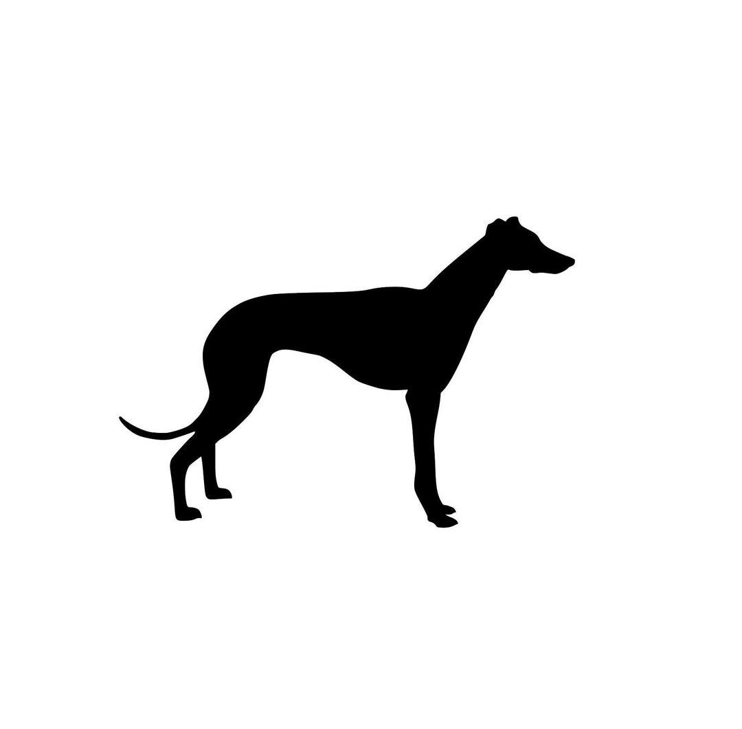 20 Pack - Paper Greyhound Dog Shape Die Cut Animal Cutout Pet Puppy ...