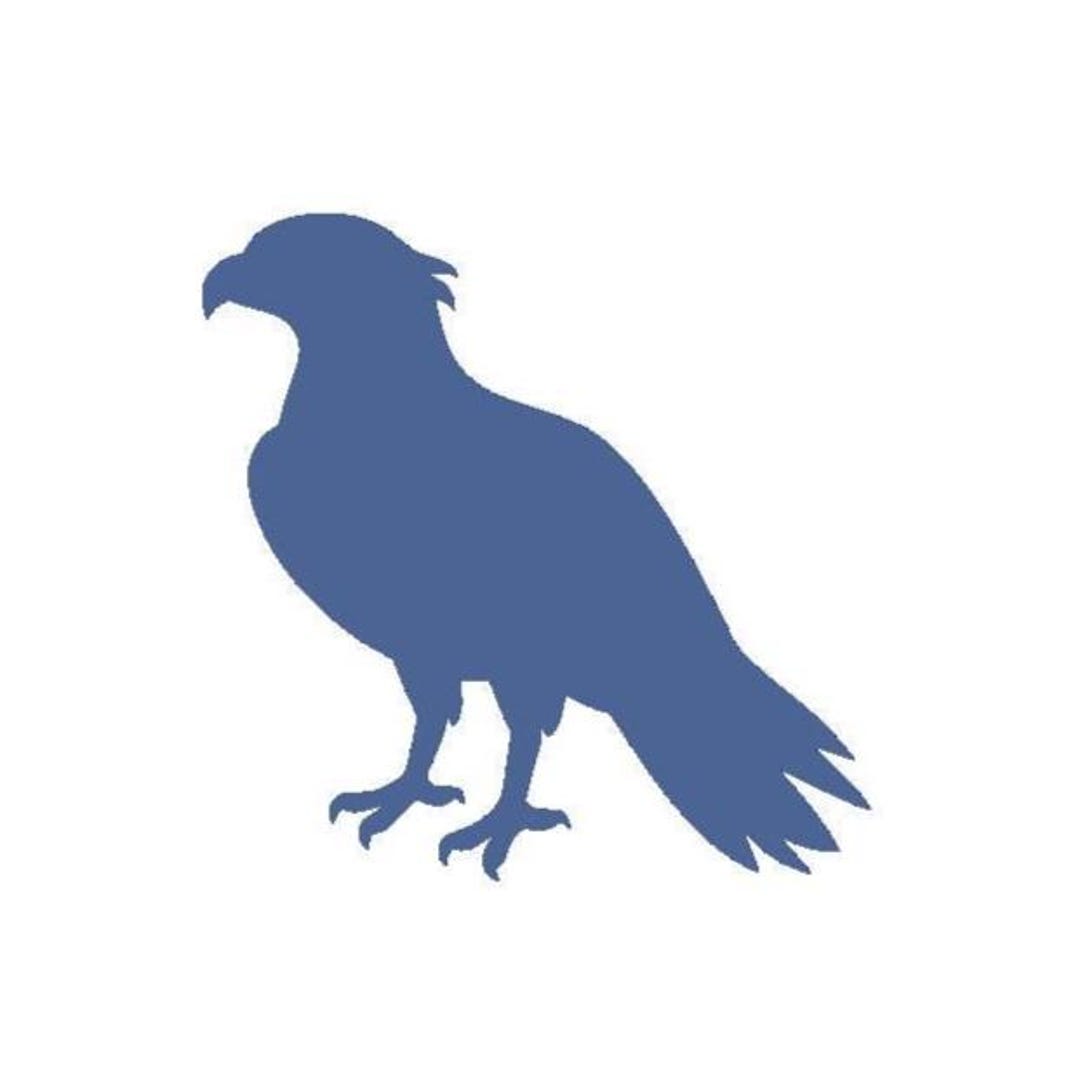Paper Seahawk Cutouts: Osprey Shapes, Bird Scrapbooking - (20) Pack - Etsy