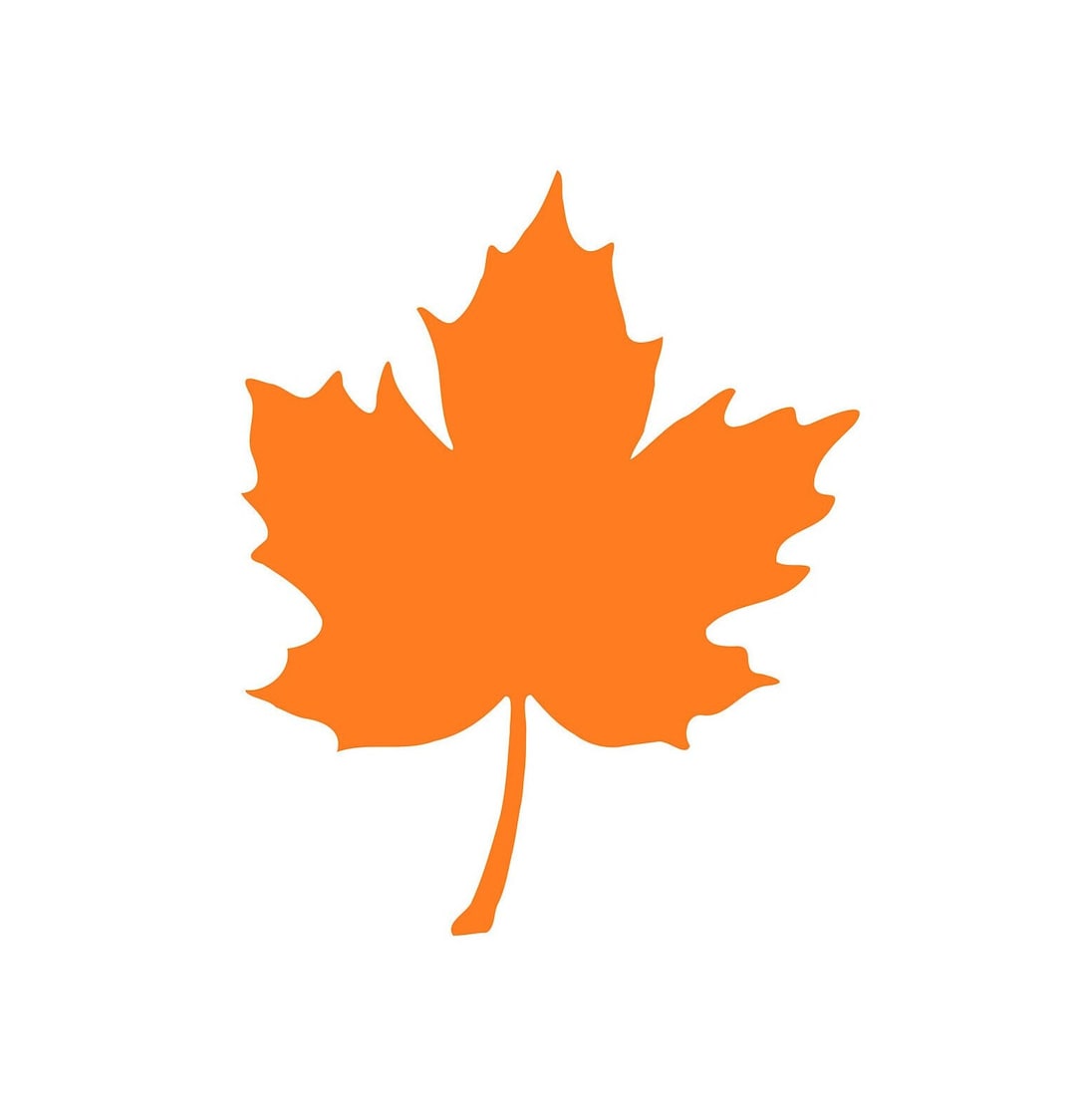 20 Pack Paper Maple Leaf Shapes, Die Cut Maple Leaf Cutout, Autumn ...