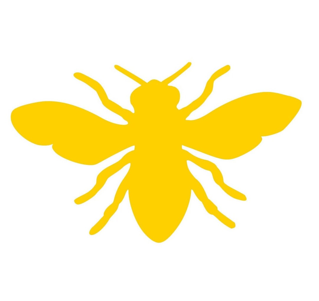 20 Pack - Paper Bee Shapes Die Cut Honeybee Insect Cutout Summer Picnic ...