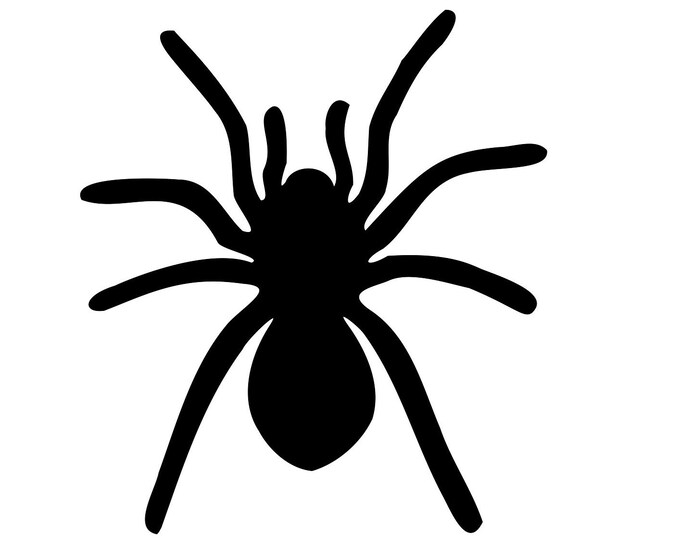 Restickable Paper Spiders Wall Decor - Etsy