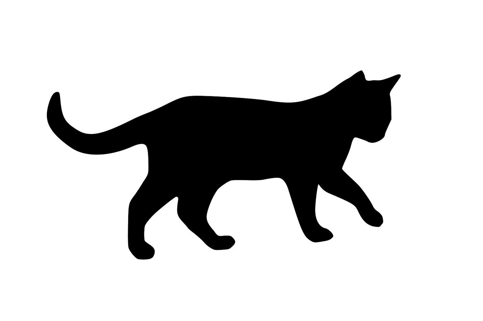 20 Pack Paper Cat Shapes Kitty Cutouts Die Cut Cat | Etsy