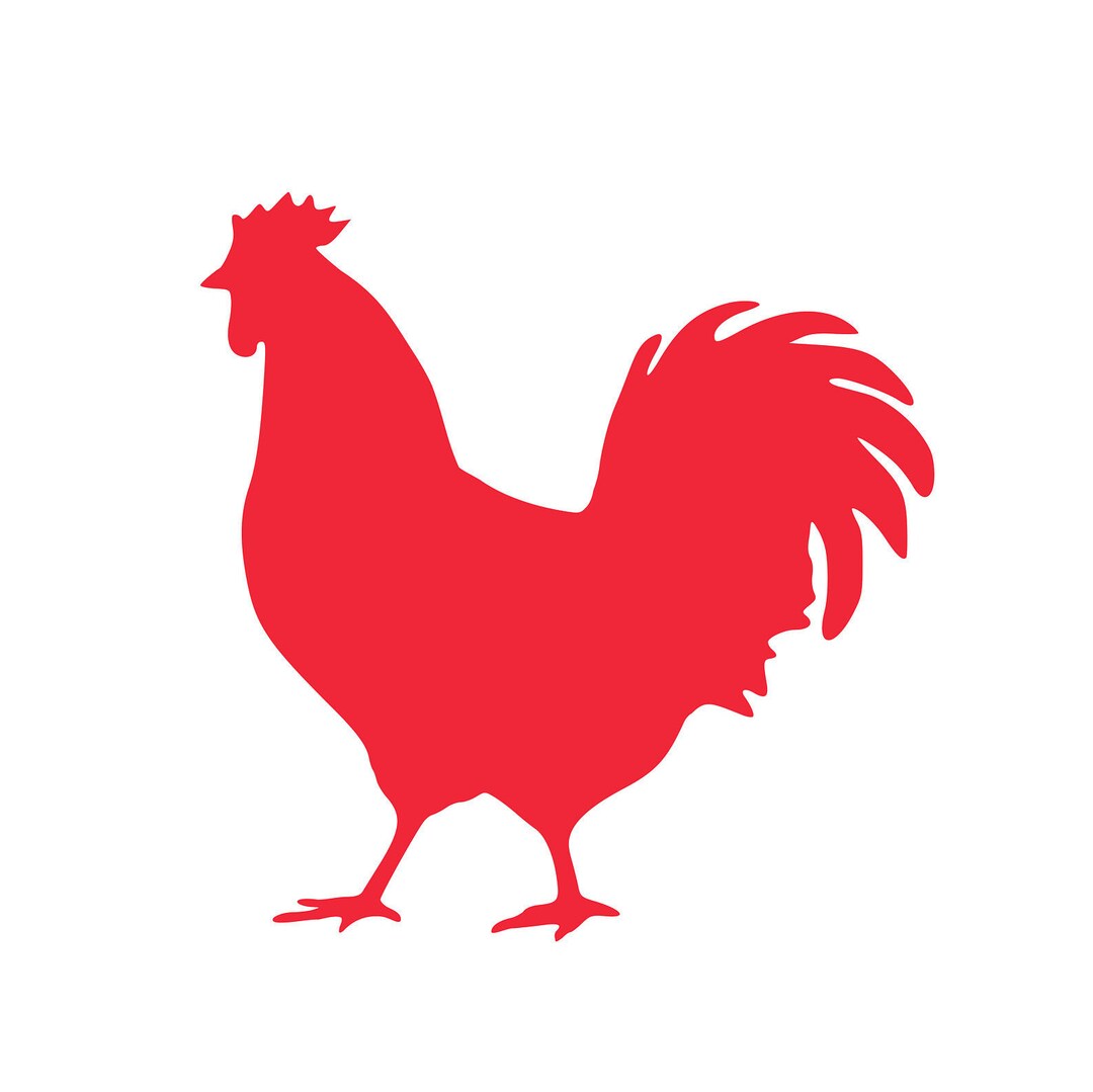 20 Pack - Paper Rooster Shape Die Cut Chicken Rooster Cutout Barnyard ...