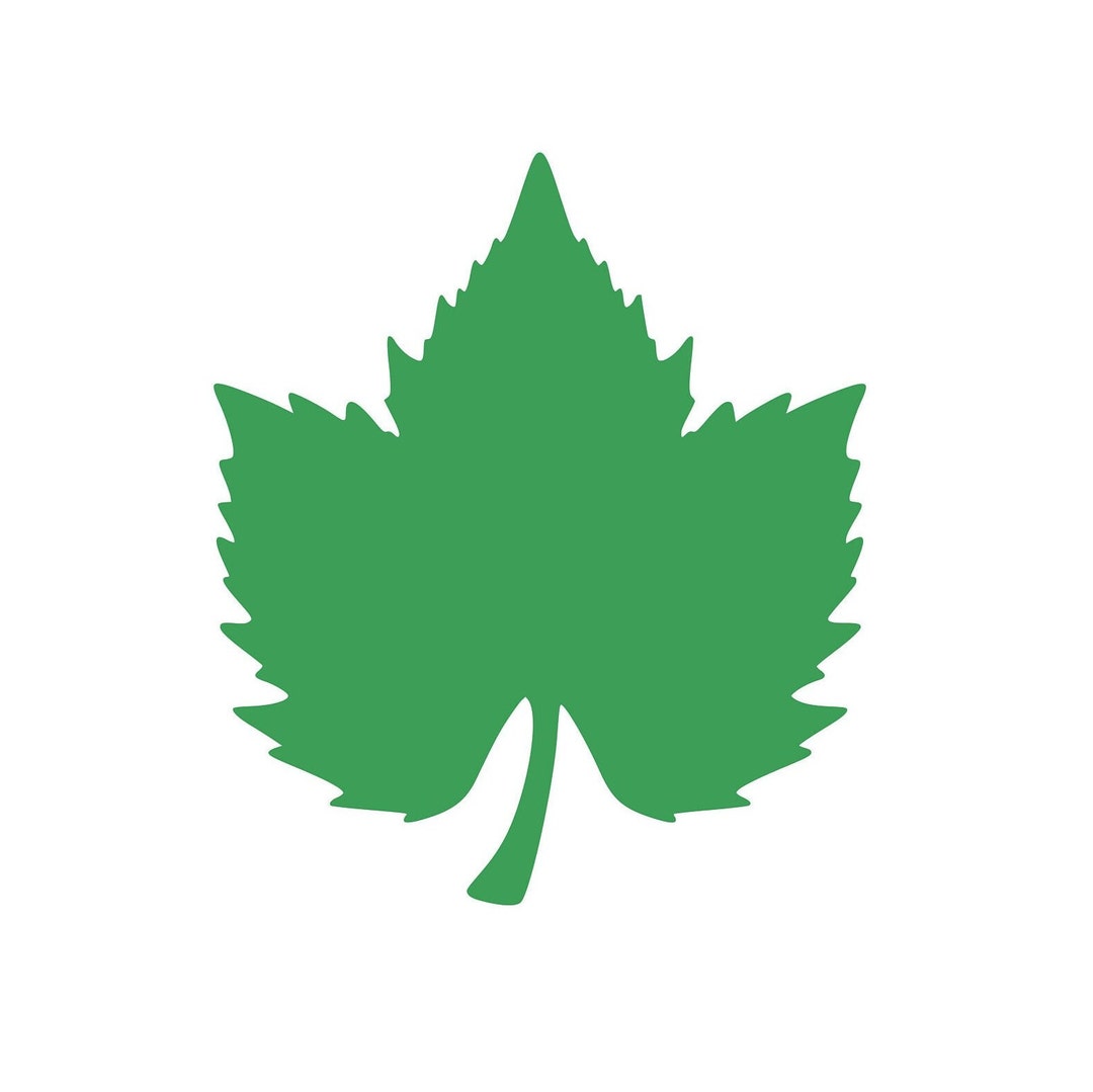 20 Pack - Paper Grape Leaf Shape Die Cut Cutout Winery Wine Tasting ...