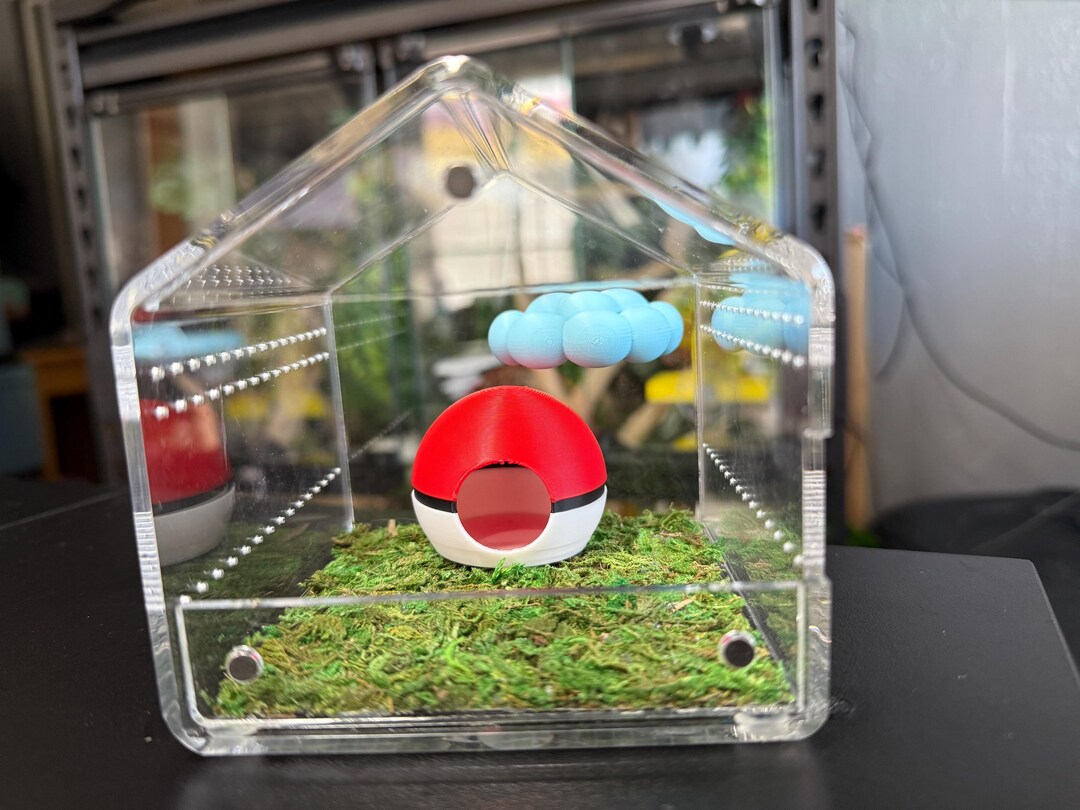 Jumping Spider Pokeball Hide - Etsy
