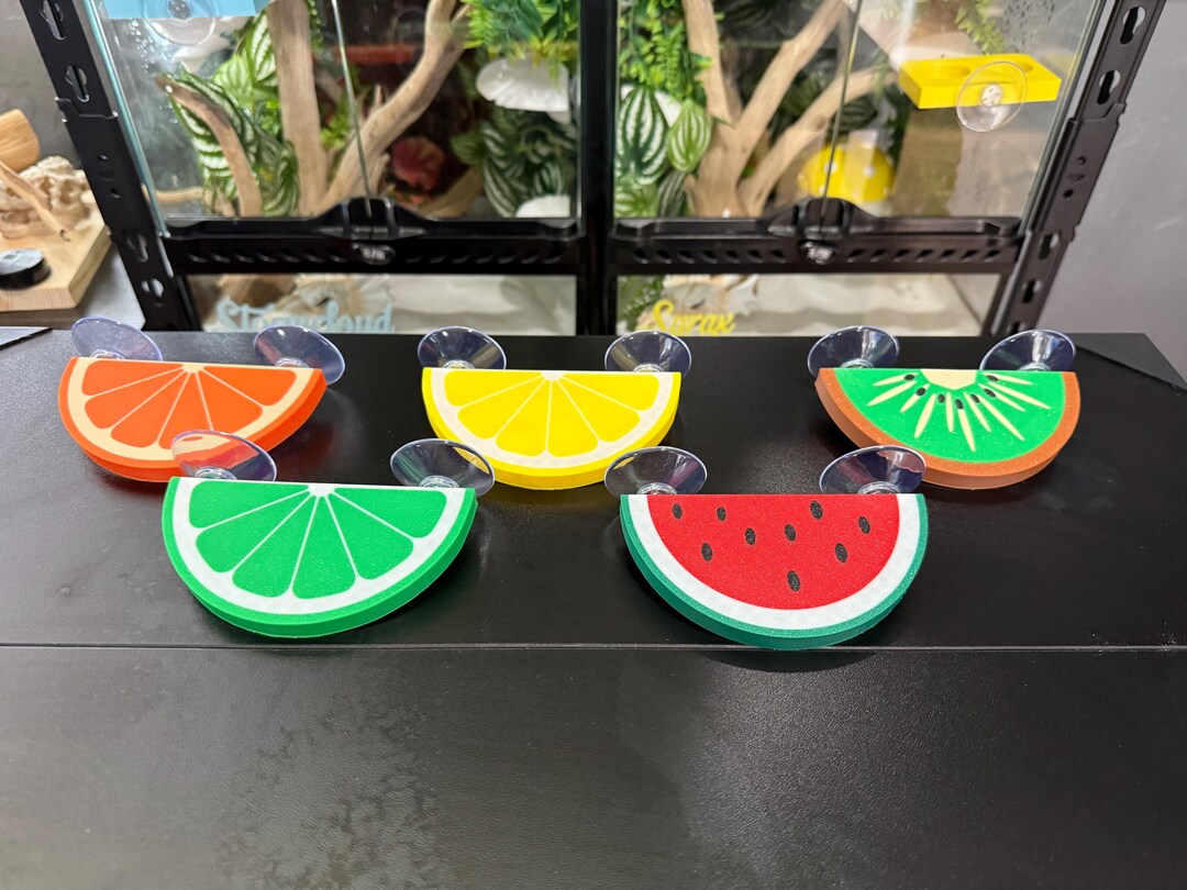 Gecko/reptile Fruit Ledges - Etsy