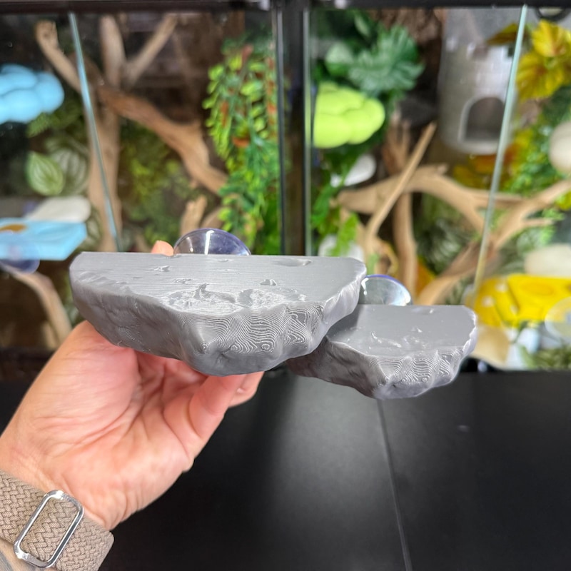 Magnetic Reptile Rock - Etsy