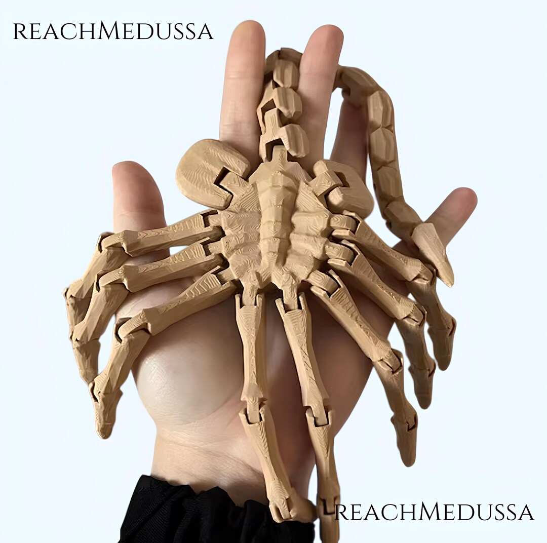Premium Handmade Sci-fi Alien Movie Facehugger, Unique Complete ...